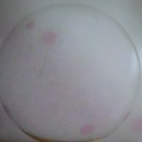 爱玩帆船de司马优瑗 