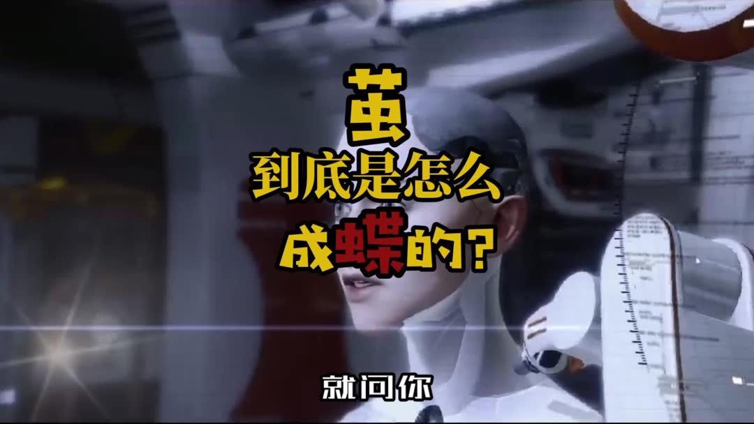 你知道化茧成蝶的过程到底发生了什么吗?