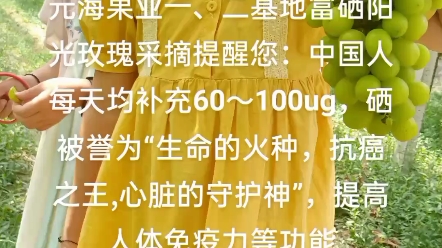 功能农业全产业链农产品