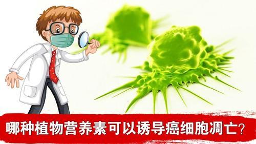 可以诱导癌细胞凋亡的自然植物养分素是什么?