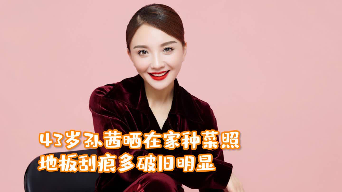 43岁孙茜晒在家种菜照,儿子是好奇宝宝,地板刮痕多破旧明显