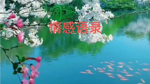做一个真实的自己,不在为任何一个人而活着!