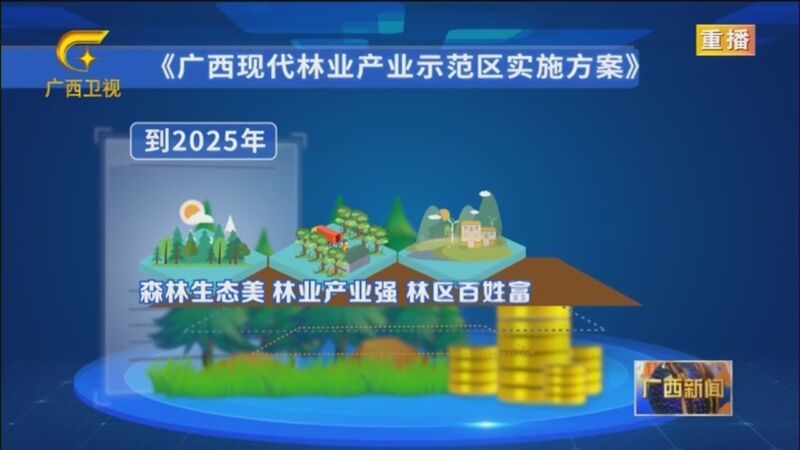 [广西新闻]全国首个局区共建现代林业产业示范区落地广西 到2025年...