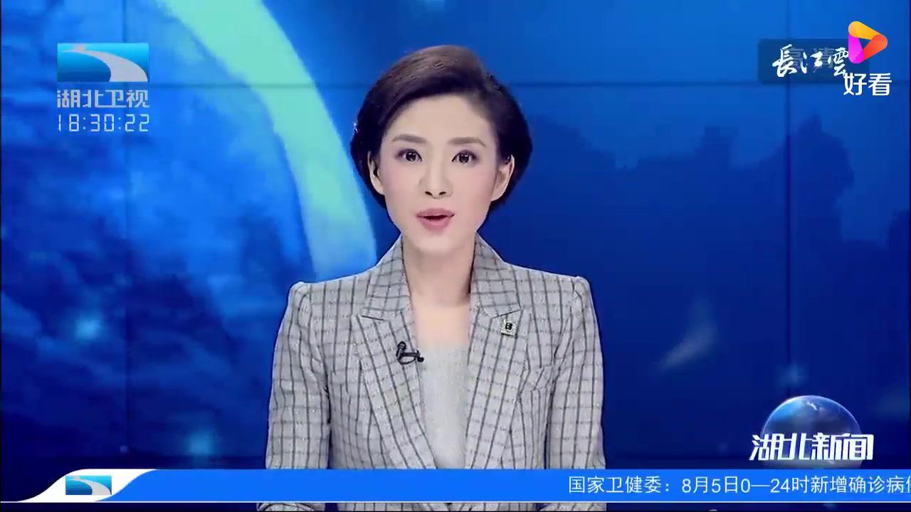 应勇主持召开省委常委会(扩大)会议暨省防控指挥部会议
