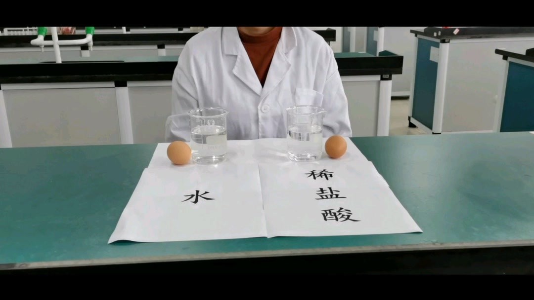 探究制取二氧化碳的反应原理