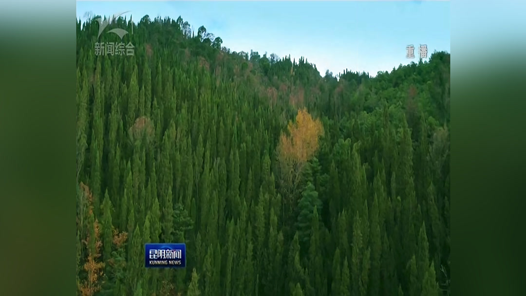 “十三五”时期全市森林覆盖率达到52.62%