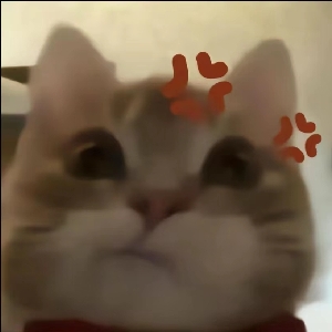 取一朵玫瑰花 