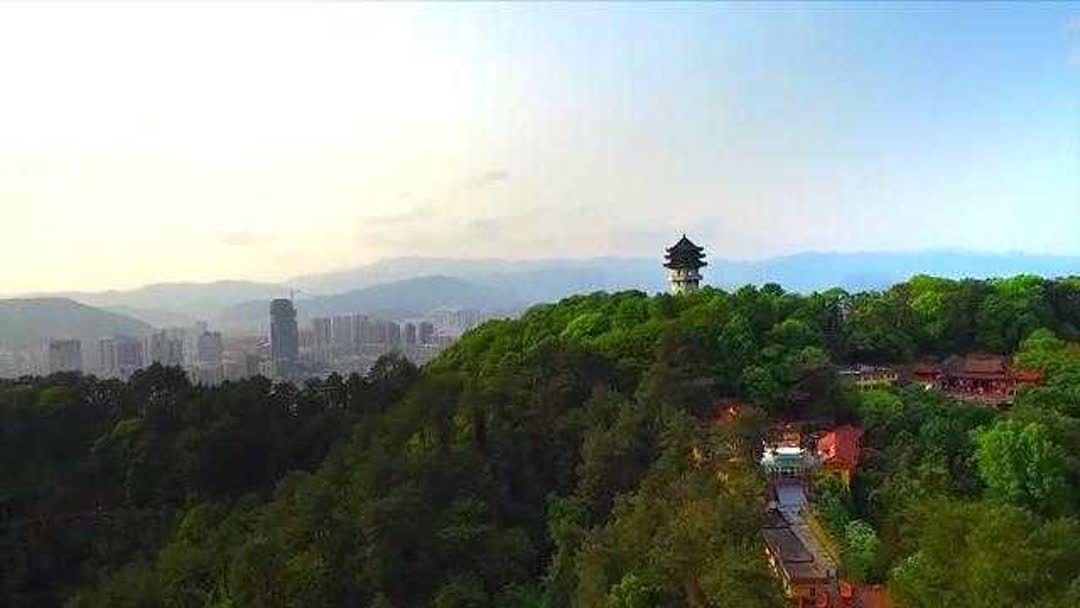 龙岩市新罗区区通过林木种质资源普查省级复核