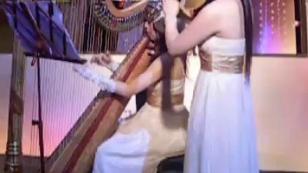 深圳乐器长笛与竖琴迎宾演出【晚宴迎宾效果】