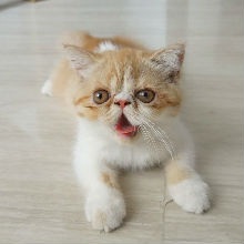 全民补硒广州越秀咨询服务中心 