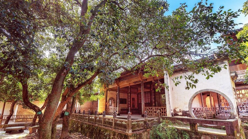 门口想栽“镇宅树”,老农推荐这4种,寓意不错,有你喜欢的吗?