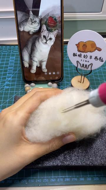 粉丝说短的视频不过瘾,今天录了个长的羊毛毡,手工diy,戳戳乐,猫