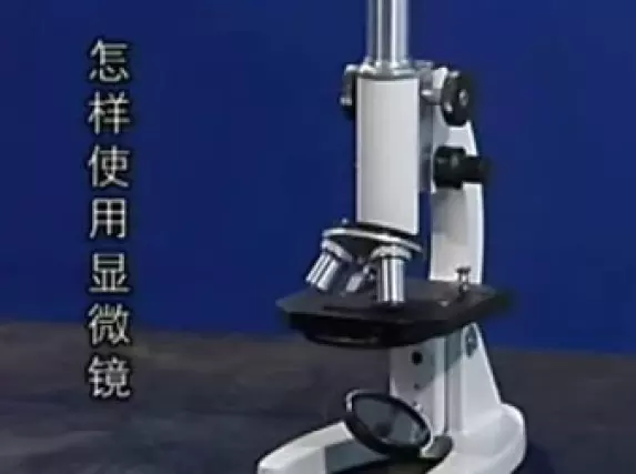 显微镜的结构和使用_标清