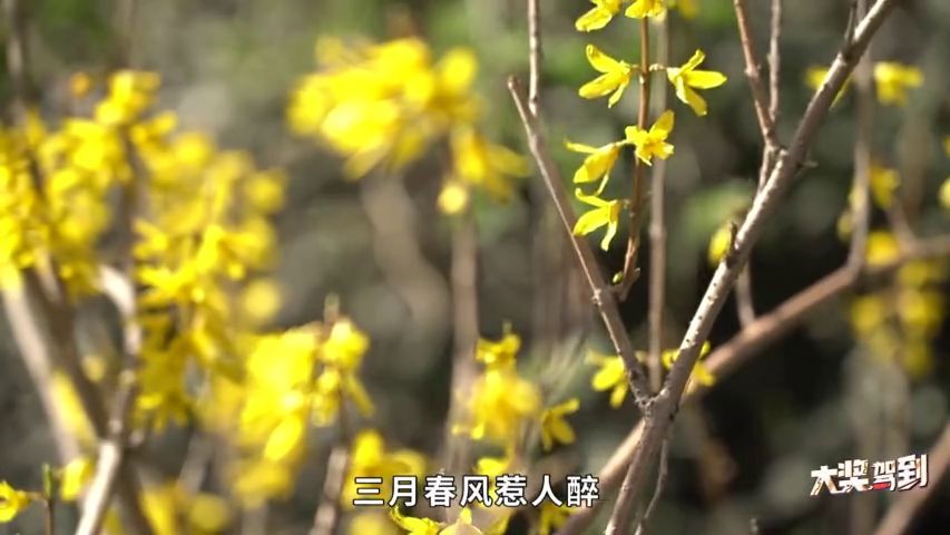 6元彩票击中全国唯一一等奖,大奖诞生在这里