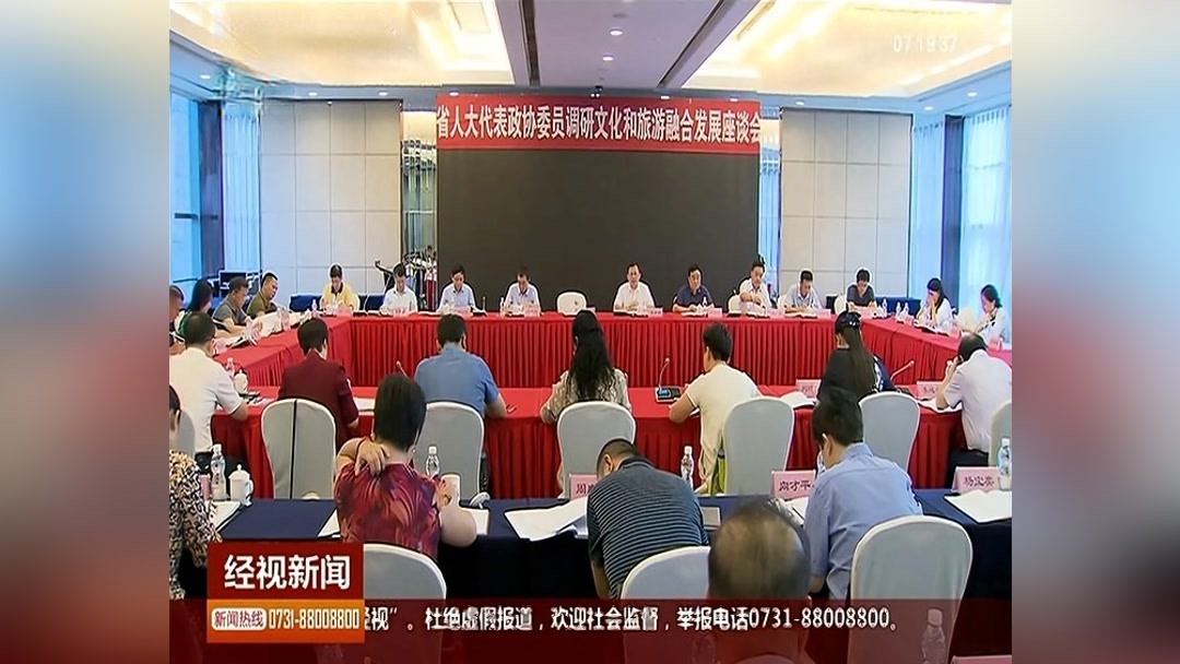 省人大代表政协委员调研文化和旅游融合发展