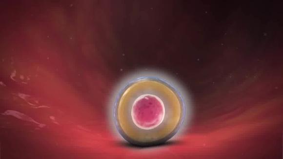 妊娠及胎儿发育过程【高清动画】