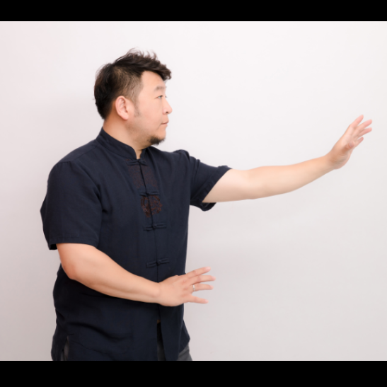 形意拳八卦掌洪贞国术 