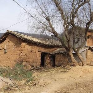 刚进城的农村人 