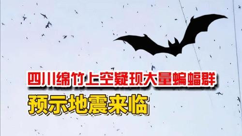 四川绵竹上空疑现豪爽蝙蝠群,预示了地震来临?是自然原因?