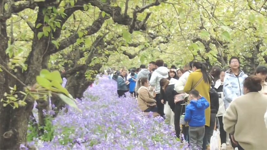 “五一”旅游热度走高 旅游产品进入“预订”模式
