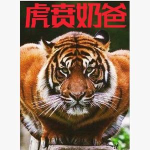 虎贲奶爸 