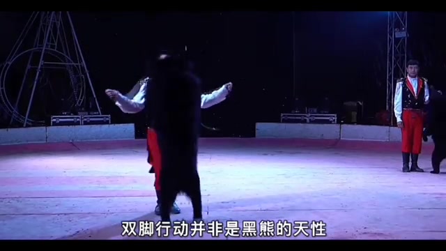 拒绝动物表演,从你我做起!