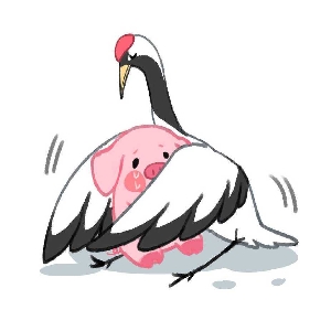 名字不长也不好 