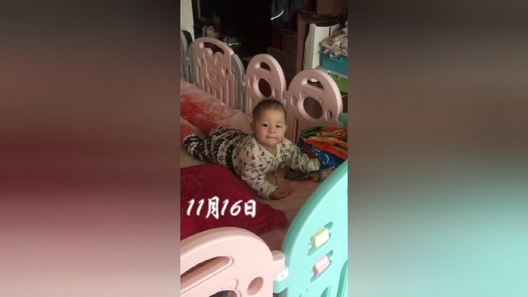 狗狗2019