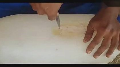 哪个天才发明的,用油桶自制一个捕鼠器,老鼠急得团团转