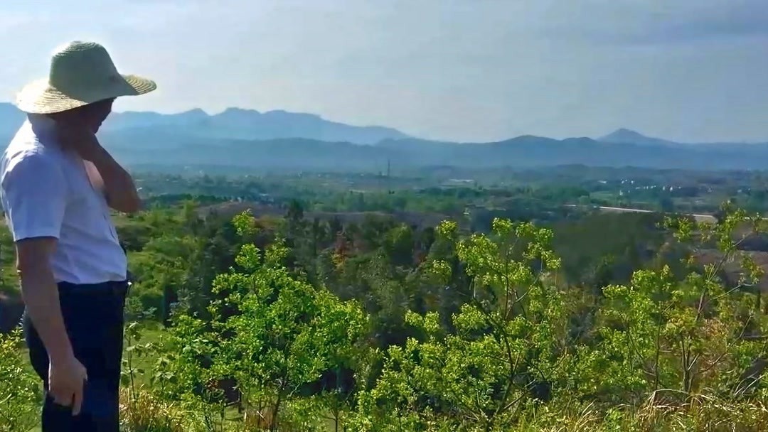 风水视频,湖北风水宝地唐王为何要建庙,这里有什么重大风水隐情
