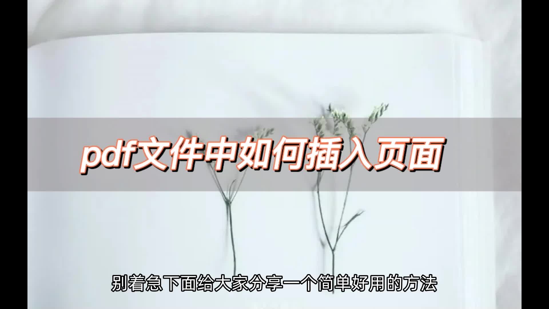 PDF合并文件怎么弄?这个方法轻松解决