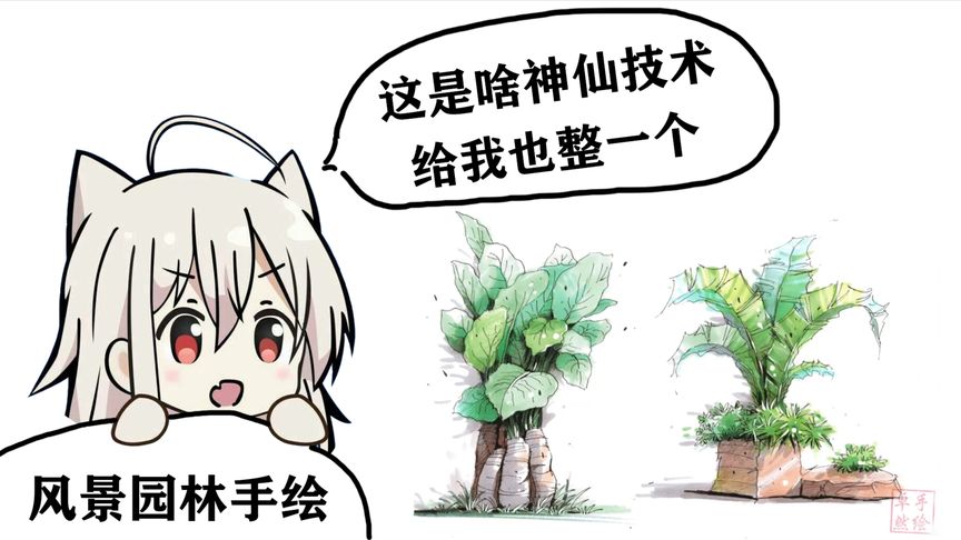 风景园林手绘,大神单体植物马克笔表现,每日练习提升水平