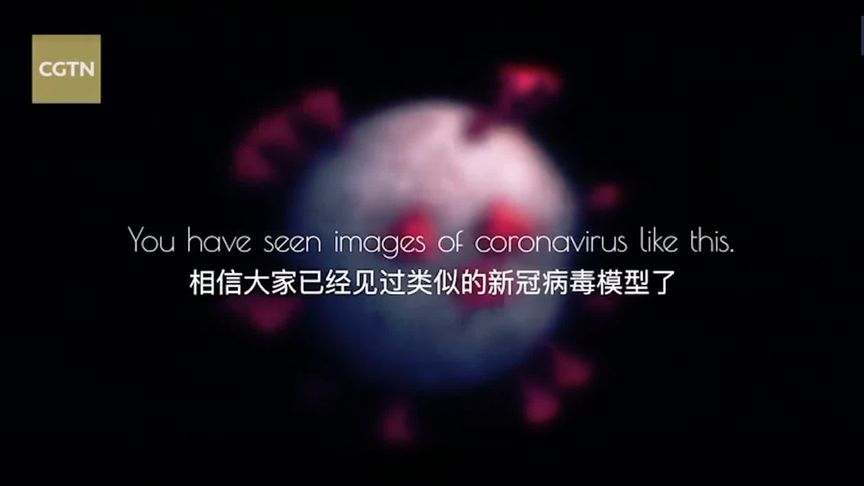 新冠病毒究竟长什么样子?首个3D图像曝光#全民防疫 #科普