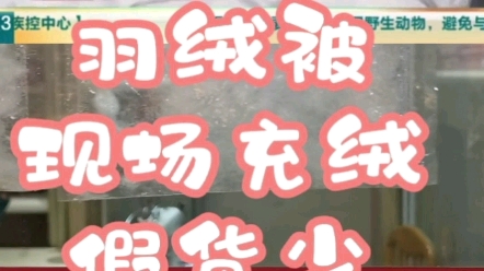 揭秘羽绒被充绒