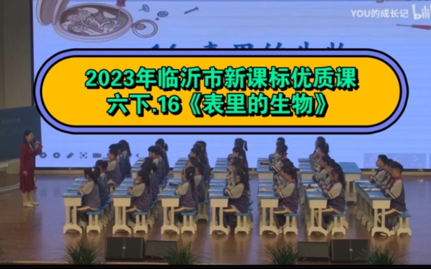 ...语文优质课】30.六下16《表里的生物》(小学语文新课标学习任务群...
