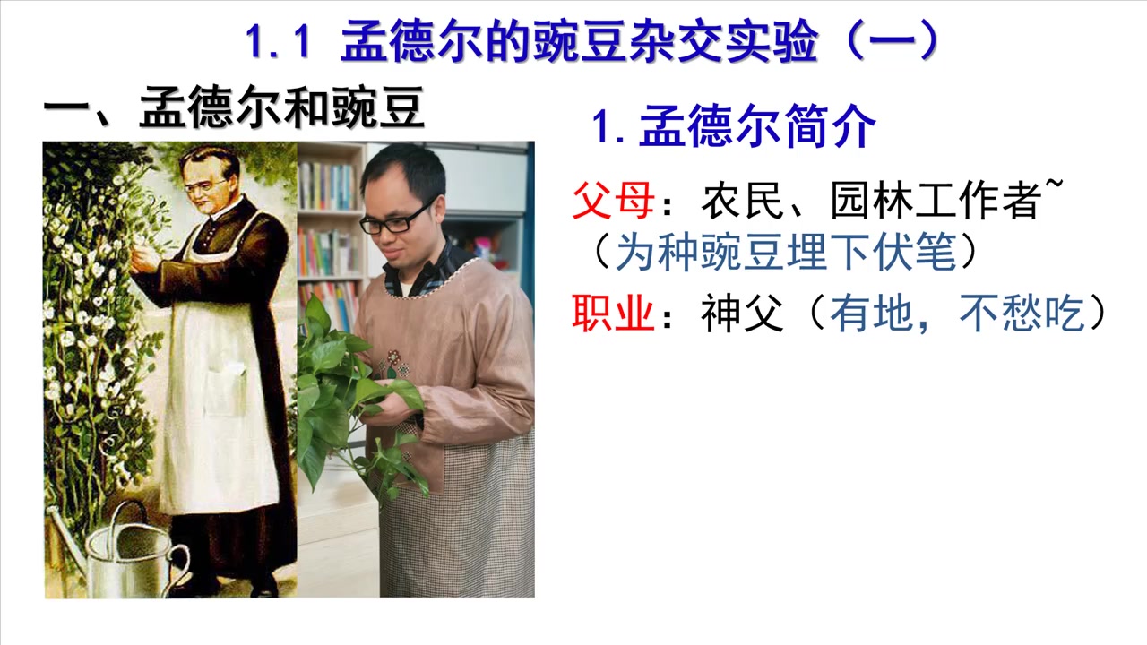【一本正经讲生物】高一生物必修二1.1孟德尔的豌豆杂交实验(一)