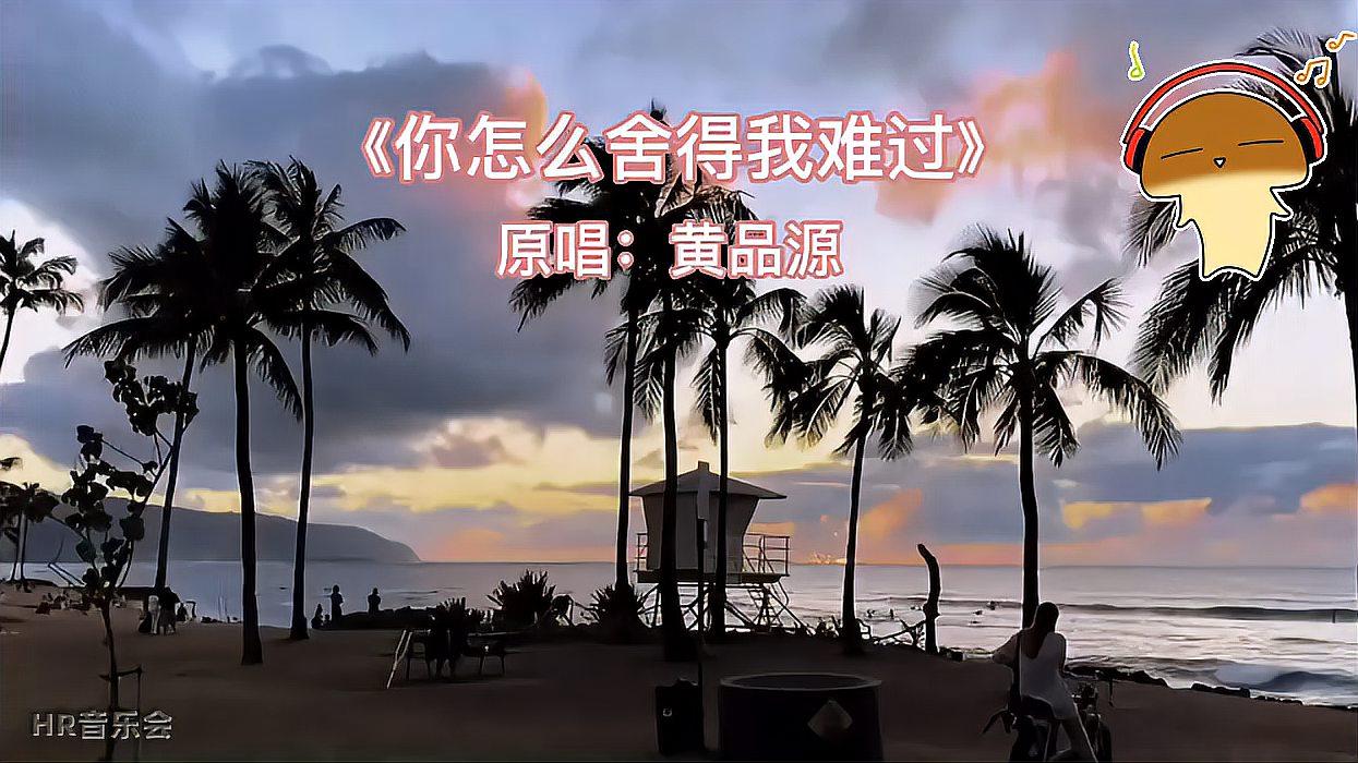 黄品源的一首经典伤感情歌《你怎么舍得我难过》完整版