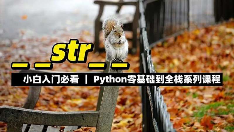 python基础知识