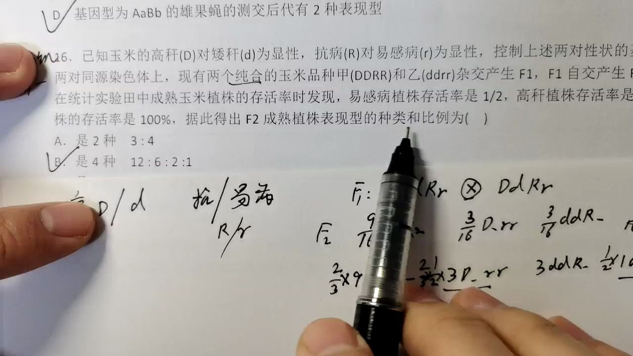 高中生物一轮复习必修一 1.55伴性遗传第八节
