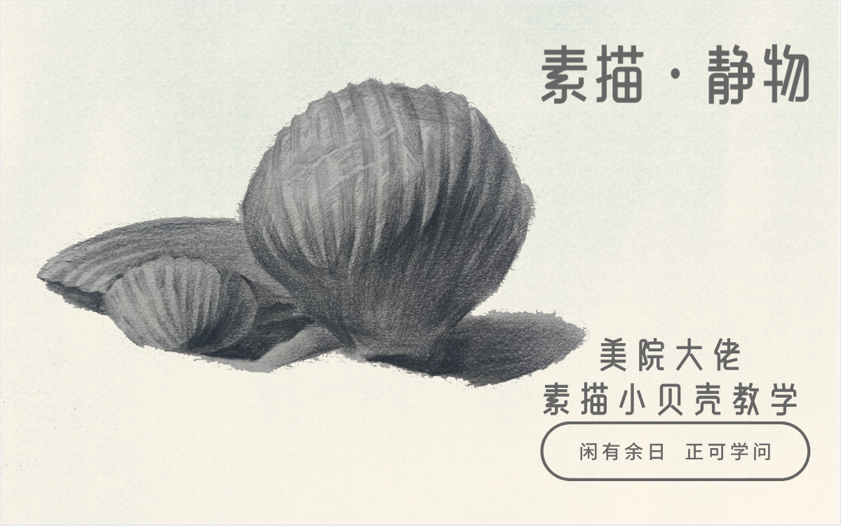 【素描新手联盟】贝壳,都见过都吃过吧?怎么画出来,这就要好好说道...