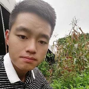 陇南小董汇种菇 