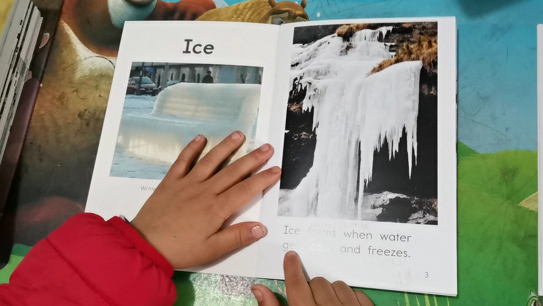 RAZ分级阅读每天打卡