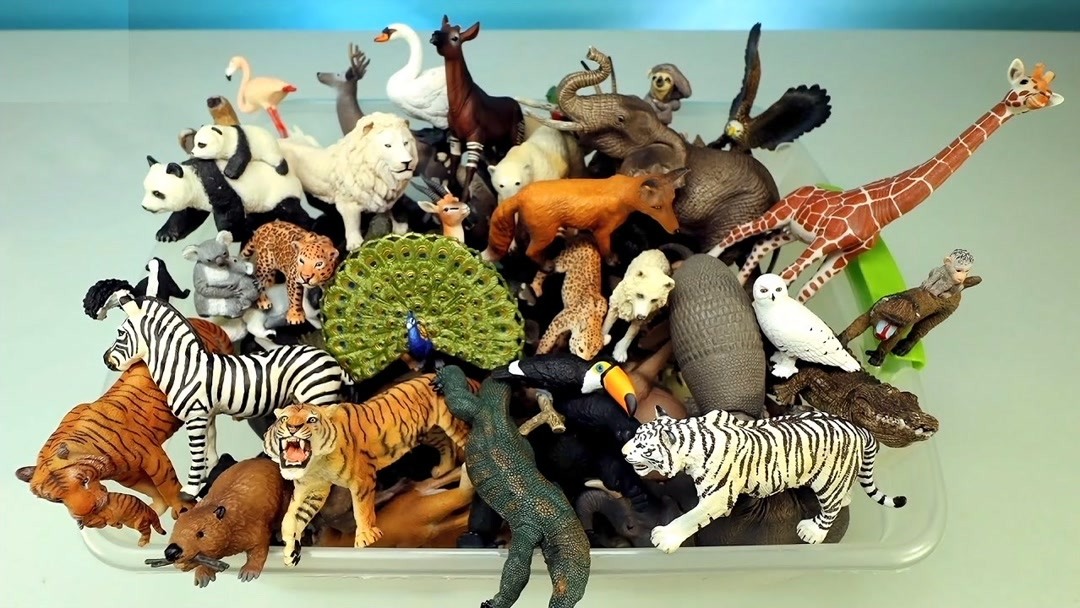 介绍很多小动物模型玩具