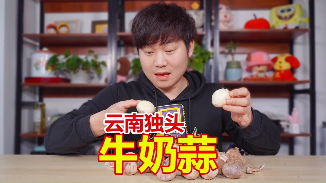 试吃云南牛奶独头蒜,36.9买了3斤,据说是可以当水果吃!