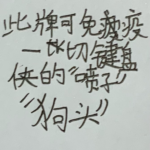 挨打的加菲猫吖 