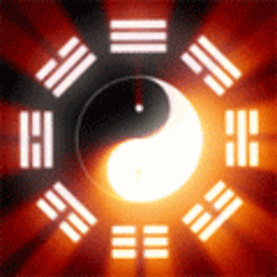 阿曼达a 
