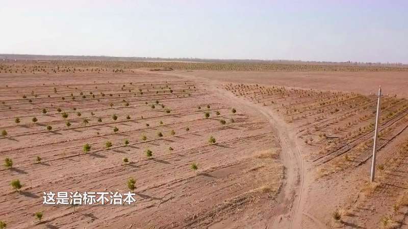 如果把全部的沙漠变成森林,会有啥后果?说出来你都不敢信