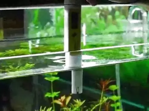 疯狂水草 PH测试笔