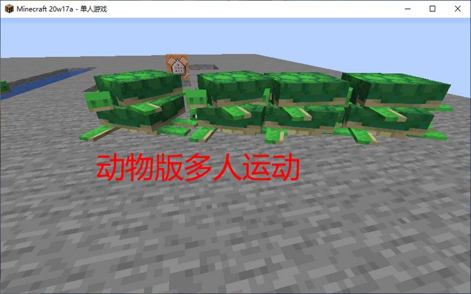 【我的世界】动 物 运 动