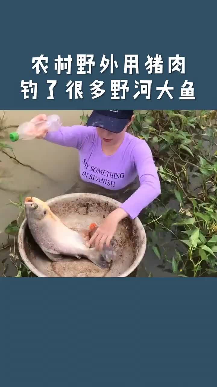 看看这个抓鱼技巧如何#户外捕鱼#撒网#户外撒网捕鱼
